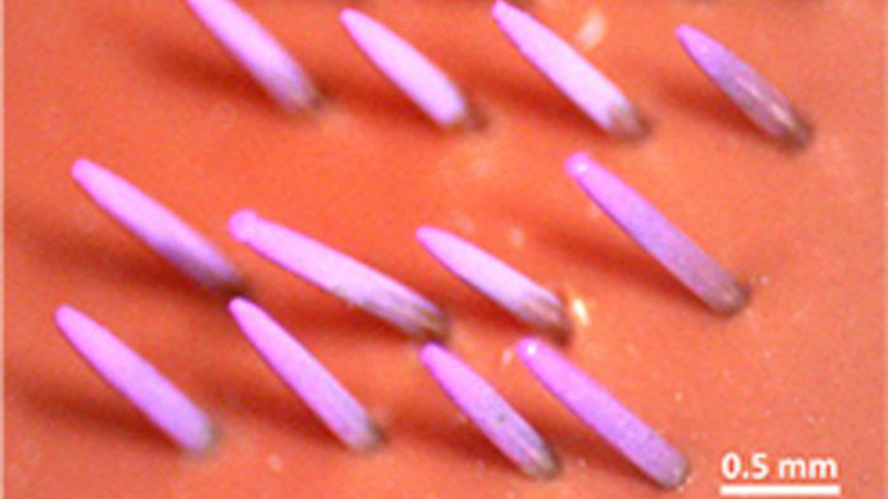Needle Free Vaccines Made Possible By Spray On Technique