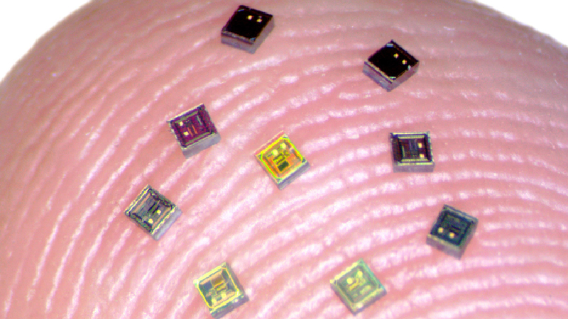 Tiny ‘neurograin Chips Form Brain Computer Interface